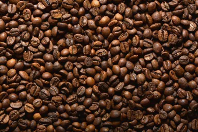 Exploring Arabica Coffee Varieties: From Bourbon to Geisha - Building Start