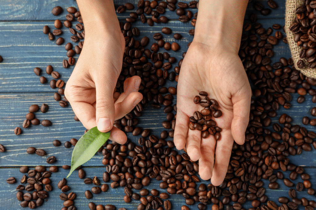 The Bean's Journey: Understanding the Coffee Process from Plant to Cup ...